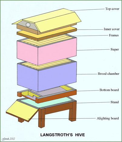 E-books for sale | Zoology for IAS, IFoS and other competitive exams